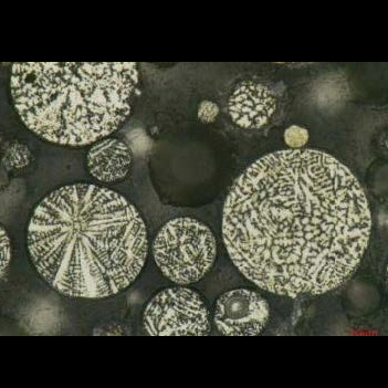 iPLM-43 Polarizing Microscope from China manufacturer - Mikrosize